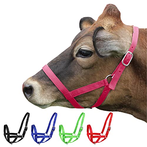 Amazon Best Sellers: Best Livestock Care Supplies