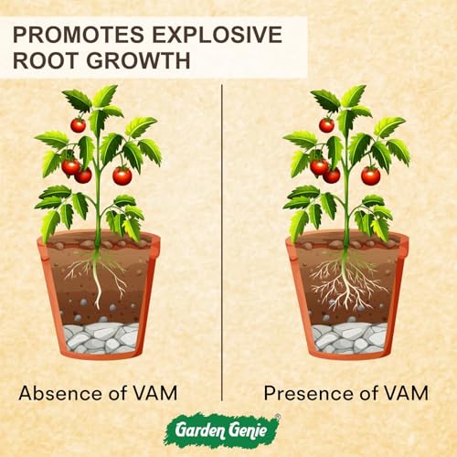 Garden Genie Root Power VAM Mycorrhiza Liquid Fertilizer for Plants ...