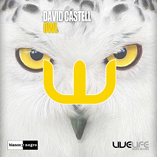 Owl by David Castell on Amazon Music - Amazon.com