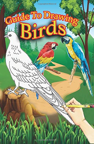 How to Draw Bird: Step by Step Way to Draw Peacock, Pigeons And Many ...