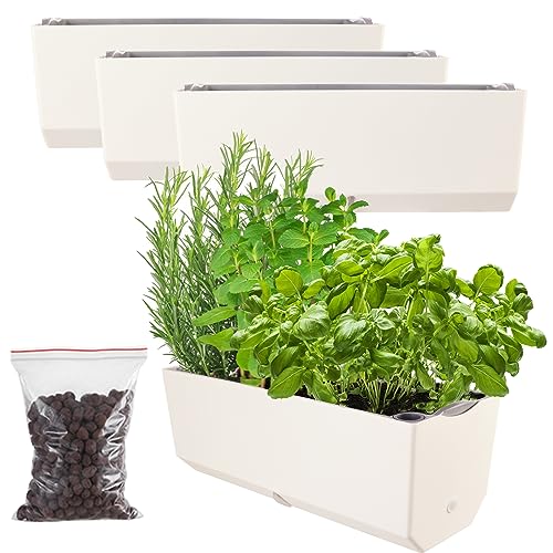 Basil Container Size Matters: Growing Basil In Containers - Peace Love ...