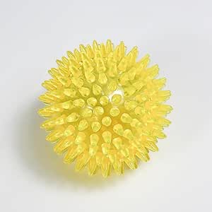 Amazon.com : GERRIT The Ultimate Must-Have Dog Toy: Squeaky Spiky Ball ...