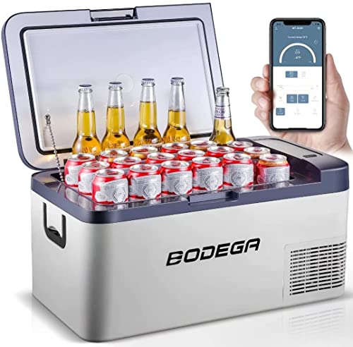Portable Freezer – The 15 best products compared - Your Motor Guide