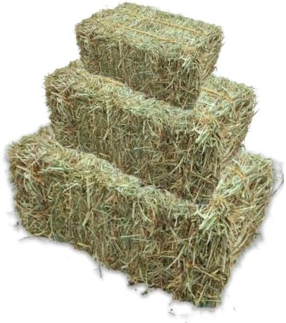 Hay for Rabbits, 4kg Boxed Hay, Long Stem Green Timothy Hay, High Fibre ...
