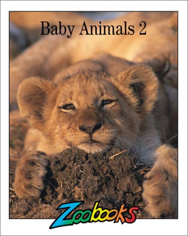 Baby Animals II (Zoobooks Series): Elwood, Ann, Wildlife Education, Ltd ...