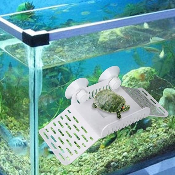 SHOBHANA ENTERPRISES Basking Area/Stand Reptiles Bask Climbing Crawling ...