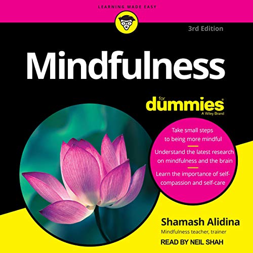 Best Audible For Dummies 2022 Where to Buy? Tutorials-DB.com
