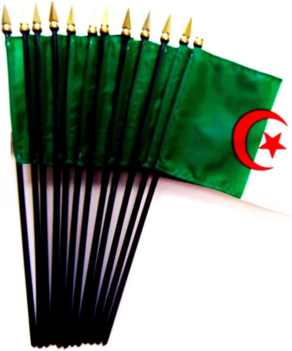 Amazon.com: Made In USA!! Box of 12 Algeria 4"x6" Miniature Desk ...