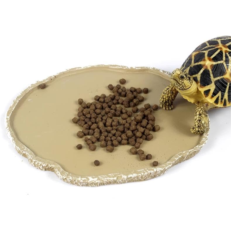Snapklik.com : 2 Pcs Reptile Food Dish, Tortoise Feeding Dish, Bearded ...