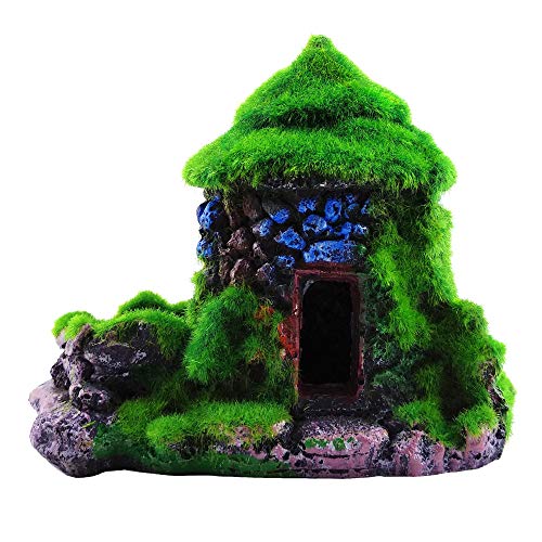 Top 3 Betta Fish Castle You Should Definitely Check Out - Animals Log