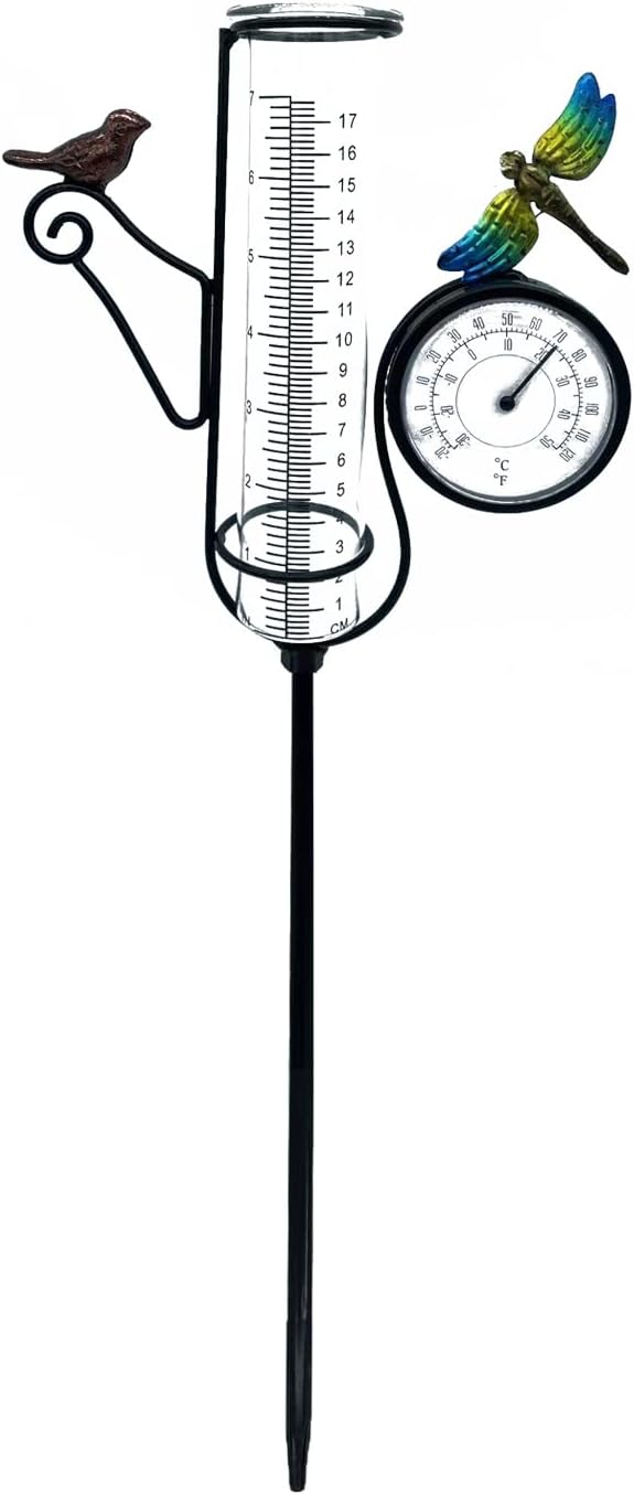 Amazon.com : POXOHO Bird & Dragonfly Art Rain Gauge Outdoor, with ...