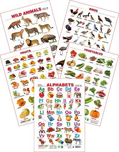 Buy Spectrum Educational Large Wall Charts (Set of 5) : ( Wild Animals ...