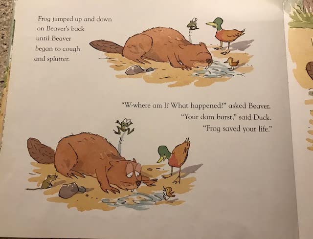 Frog and Beaver: Amazon.co.uk: James, Simon, James, Simon ...