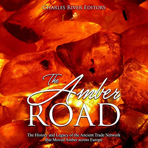 Amazon.com: The Amber Road: The History and Legacy of the Ancient Trade ...
