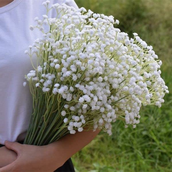Golden Hills Farm Gypsophila (Snow Flakes) Flower Seeds Ornamental ...