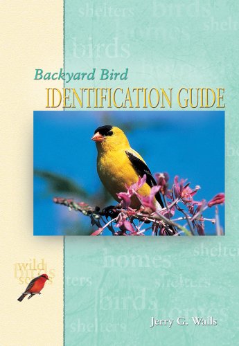 Backyard Bird Identification Guide (English Edition) eBook : Walls ...