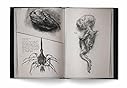 Alien Covenant: David’s Drawings: Hallett, Dane, Hatton, Matt ...