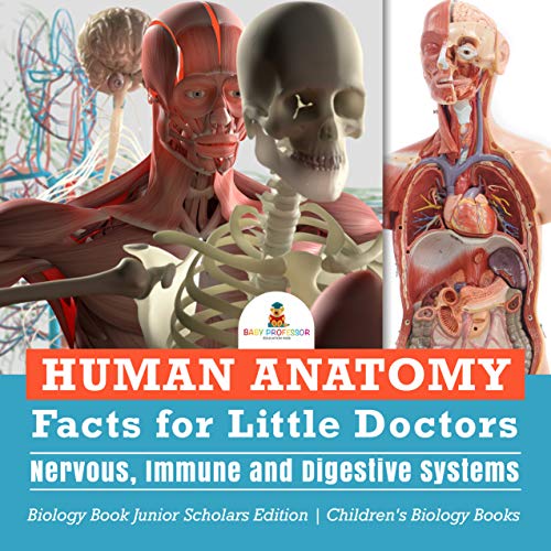 Human Anatomy Facts for Little Doctors : Nervous, Immune and Digestive ...