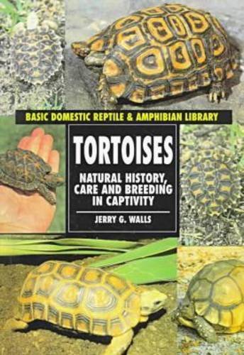 Tortoises (Basic Domestic Reptile & Amphibian Library): Walls, Jerry G ...