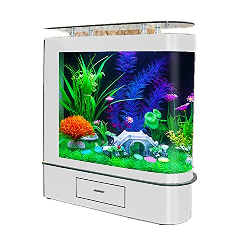 ᐈ Peceras Redondas | ¿Buenas o Malas para tus Peces? 🐟