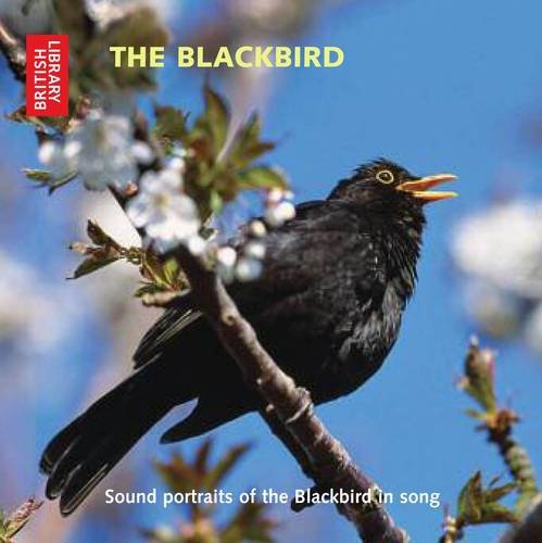 The Blackbird: Sound portraits of the Blackbird in song (British ...