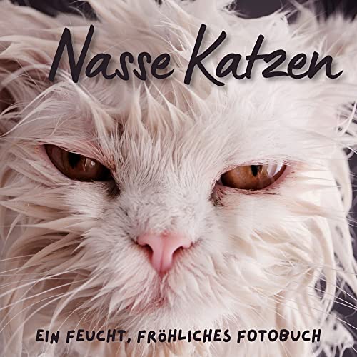 Katze Nass – Die 16 besten Produkte im Vergleich - Haustierratgeber ...