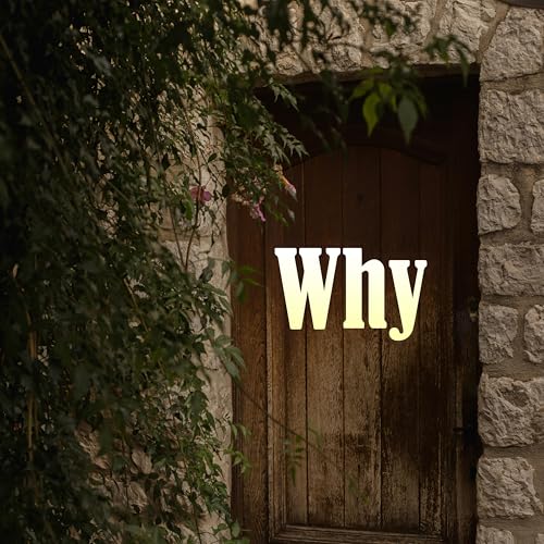 Amazon MusicでDustin leのWhyを再生する