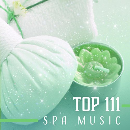 Amazon.com: Top 111 Spa Music (Relaxing Spa & Wellness Zone - Songs for ...