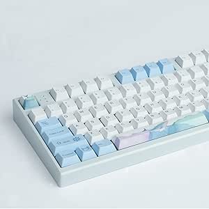 Venit Keys Keycaps Lot de 129 touches en PBT pour clavier de jeu ...