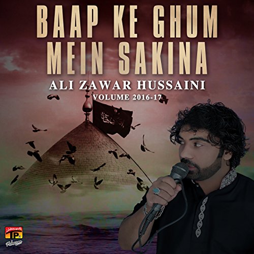 Amazon.co.jp: Baap Ke Ghum Mein Sakina, Vol. 2016-17 : Ali Zawar ...