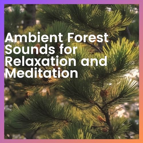 Play Ambient Forest Sounds for Relaxation and Meditation by Forest ...