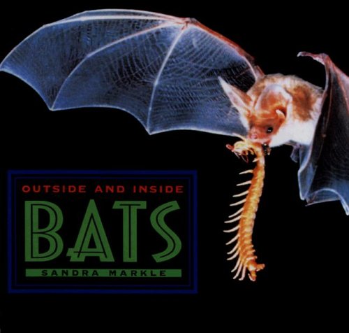 Outside And Inside Bats: Markle, Sandra: 9780606332088: Amazon.com: Books