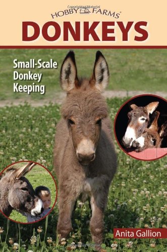 Donkeys: Small-scale Donkey Keeping (Hobby Farms): Amazon.co.uk ...