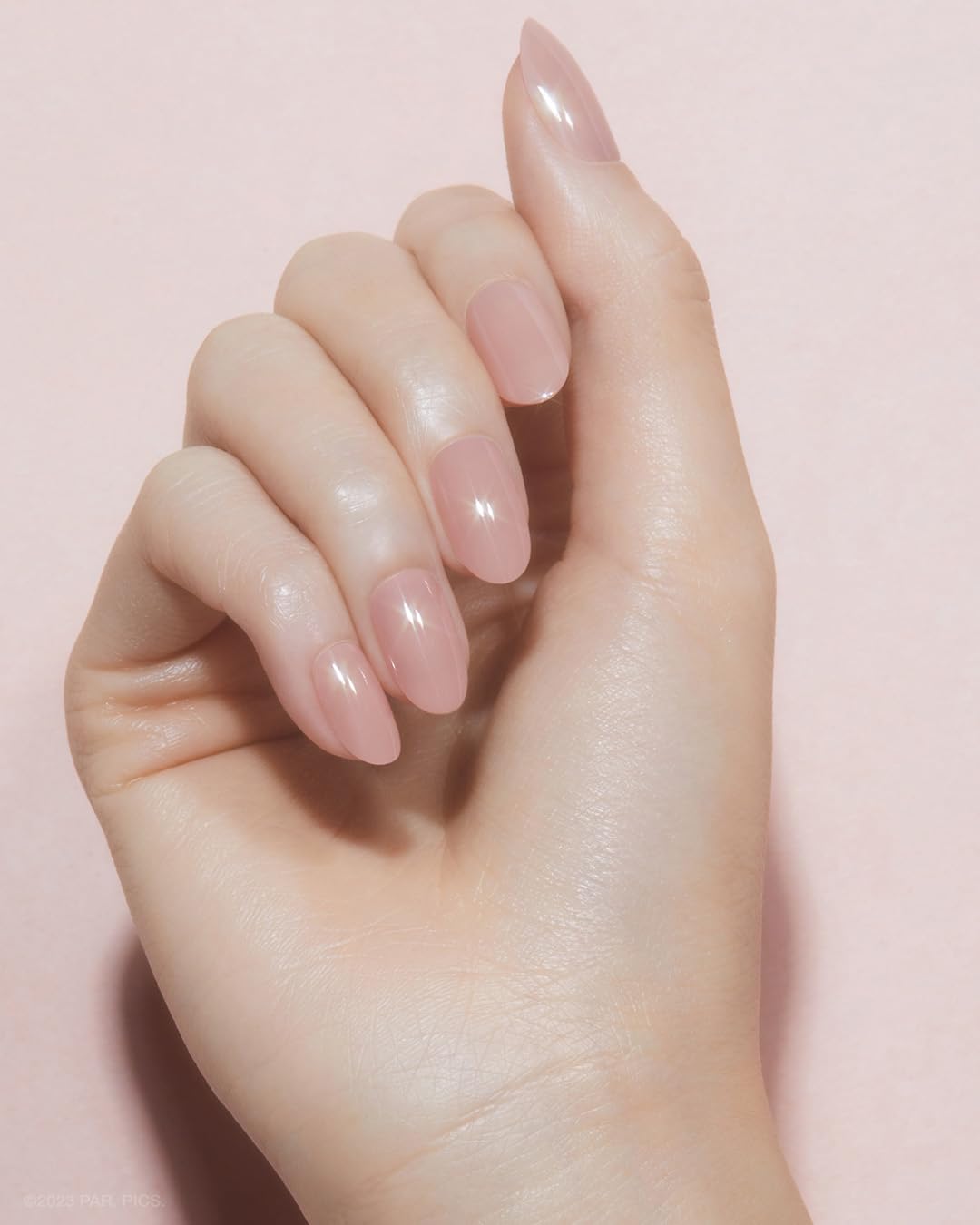 Amazon.com: Mean Girls x Static Nails The Rules Of Feminism - Reusable ...