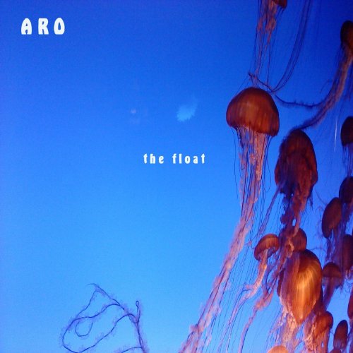 Amazon.com: The Float : Aro: Digital Music