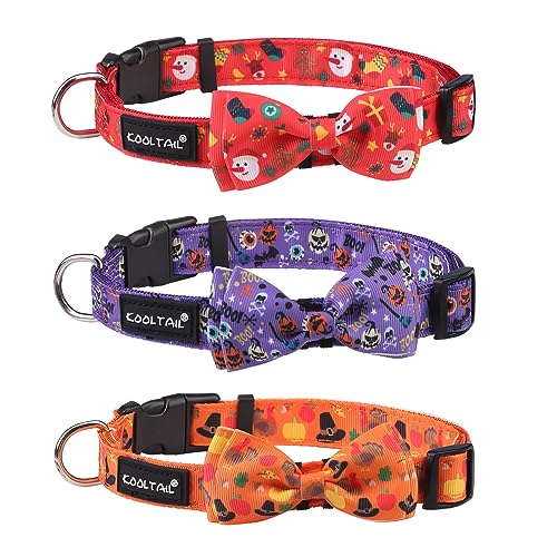 Dog Holiday Collars – The 15 best products compared - Wild Explained