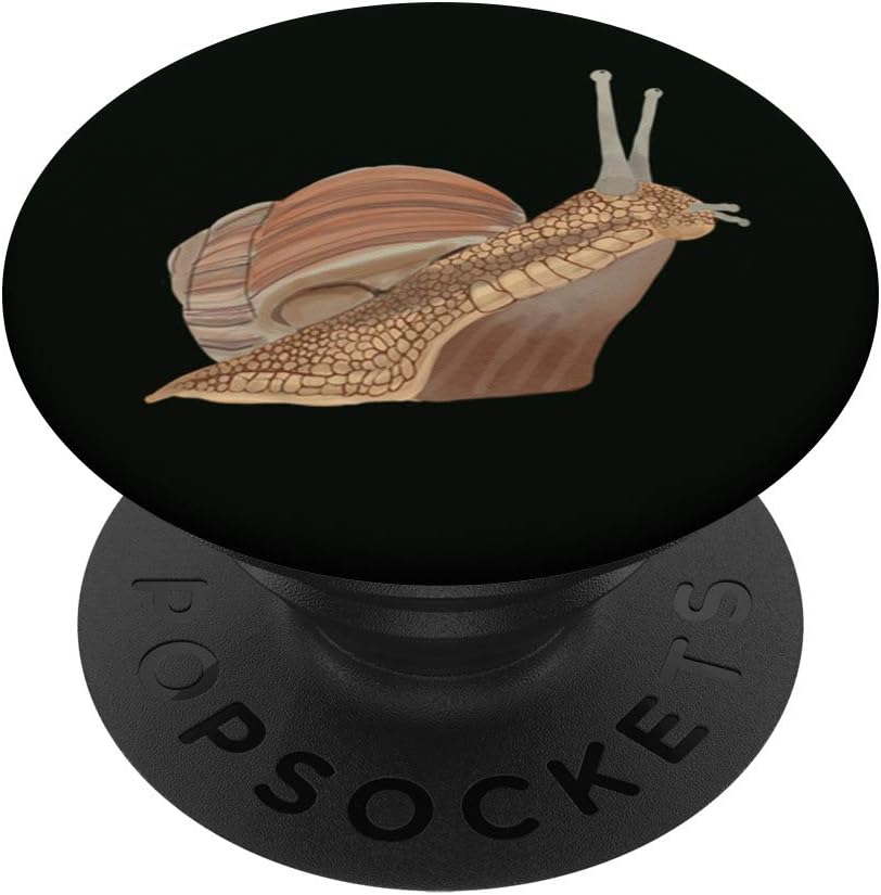 Amazon.com: Snail #2 : Cell Phones & Accessories