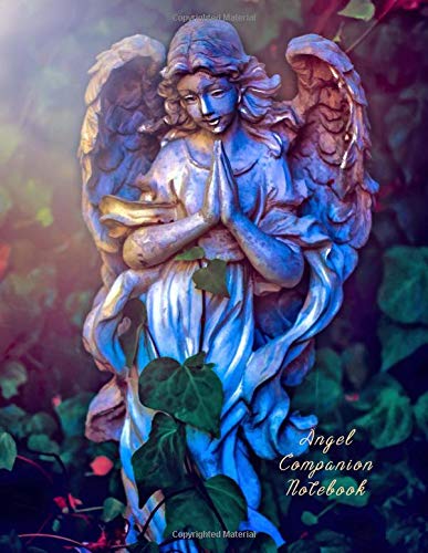 Angel Companion Notebook : Amazon.in: Books