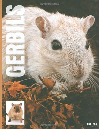 Buy Gerbils Book Online at Low Prices in India | Gerbils Reviews ...