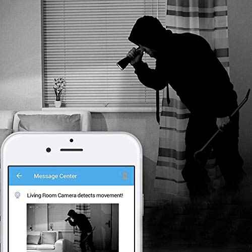 Premier Accessory Group Smart Security Camera Alexa Google Home ...