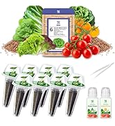 Amazon.com : Lettuce Seed Pod Kit, Romaine, Butter Head, Red Sail, Red ...