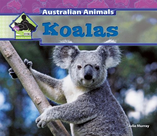Koalas (Australian Animals): Murray, Julie: 9781617830129: Amazon.com ...
