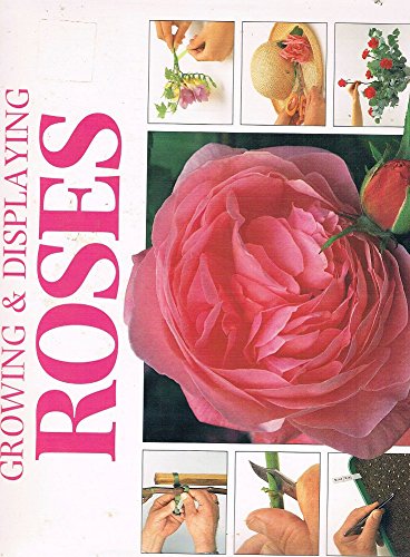 Creative Step by Step Guide to Growing Display Roses: Mattock ...