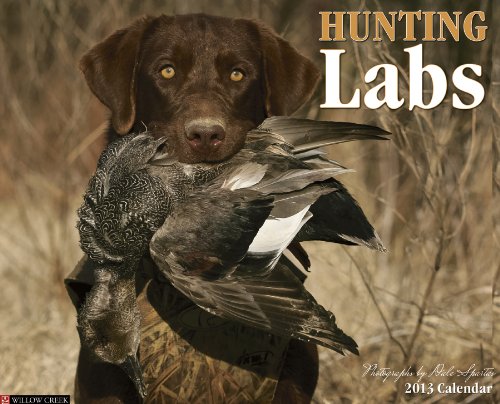 Hunting Labs 2013 Wall Calendar: Willow Creek Press: 9781607555834 ...