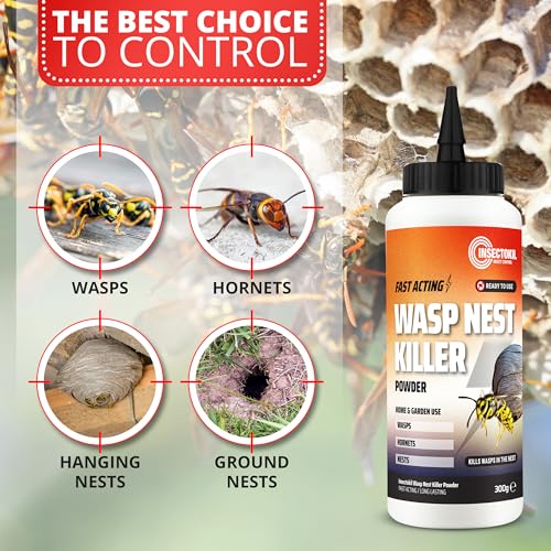 InsectoKil Wasp Nest Killer 300g – Professional Strength Wasp Nest ...