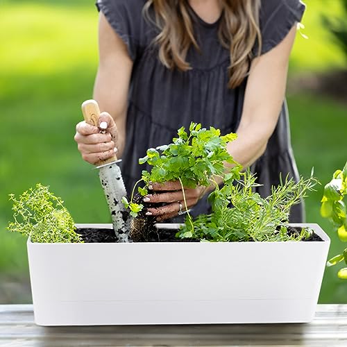 The 5 Best GREANER Planters of 2025 [Verified] - Cherry Picks