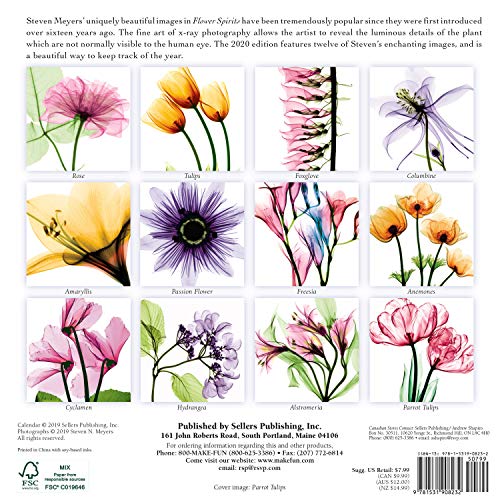 Flower Spirits 2020 Calendar: Radiographs of Nature - Want It All