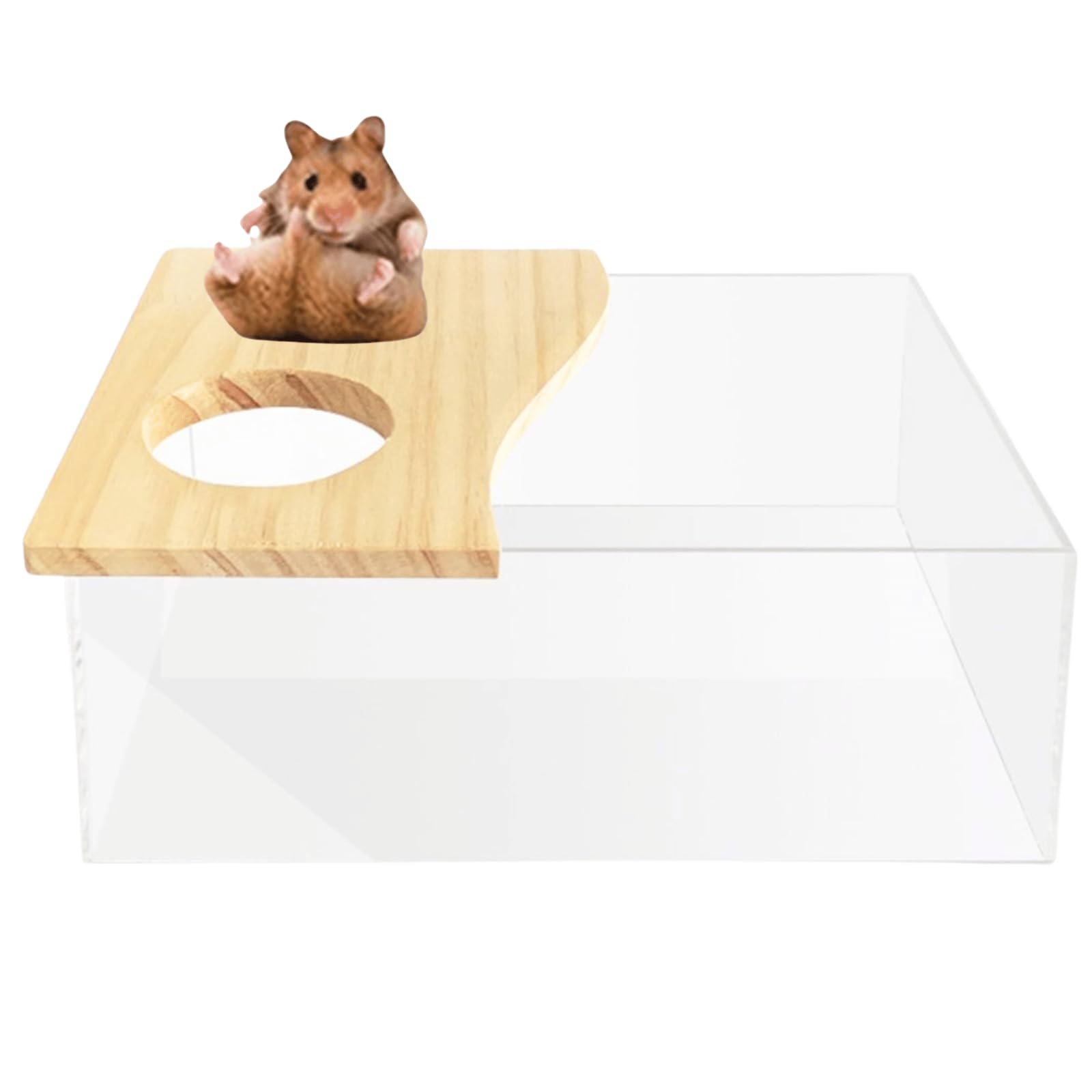 Amazon.com : Hamster Sand Bath Box Container, Hamster Bath Sand Gerbil ...
