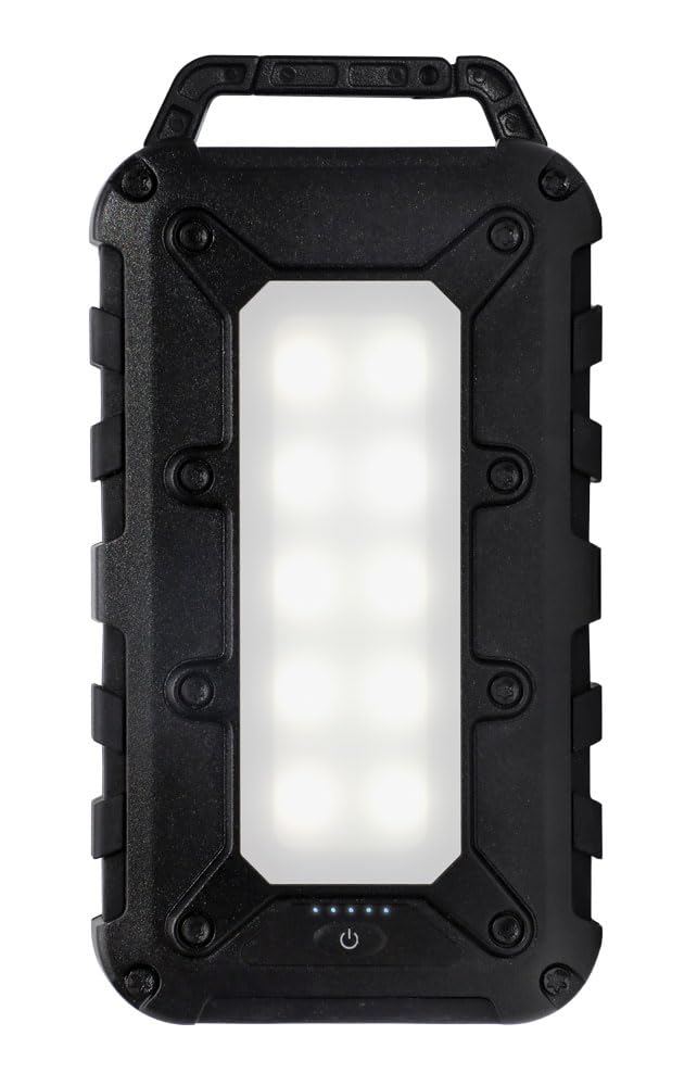 Amazon.com: Lion Energy Cub Portable Power Bank Charger for Phones ...