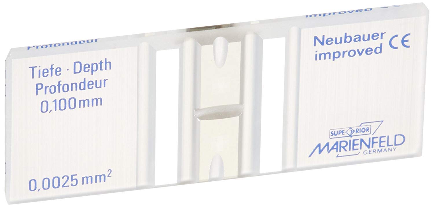 Manual Cell Counting With Neubauer Chamber 49 Off